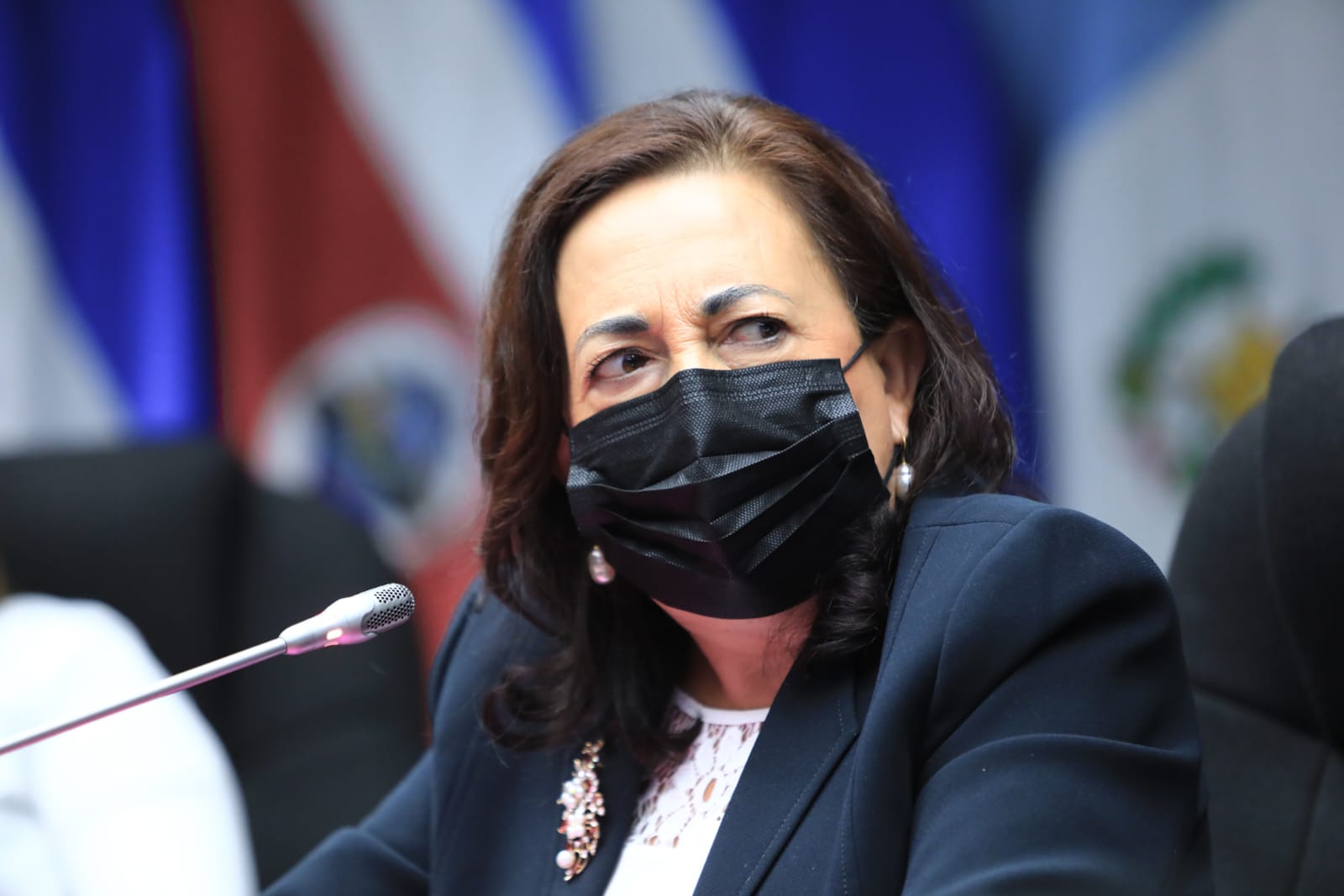 Ex diputada del fmln, Yanci Urbina, acudió al seno Comisión ...