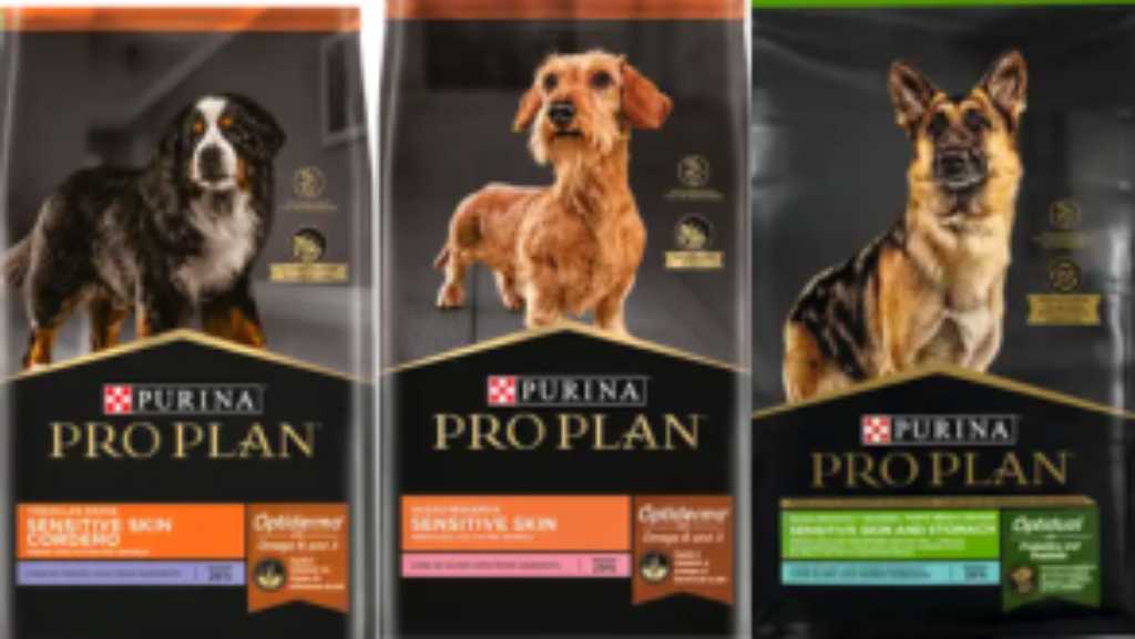 Nestlé Purina participa en Congreso Veterinario de León - Noticias de El Salvador - Cuscatlán Hoy